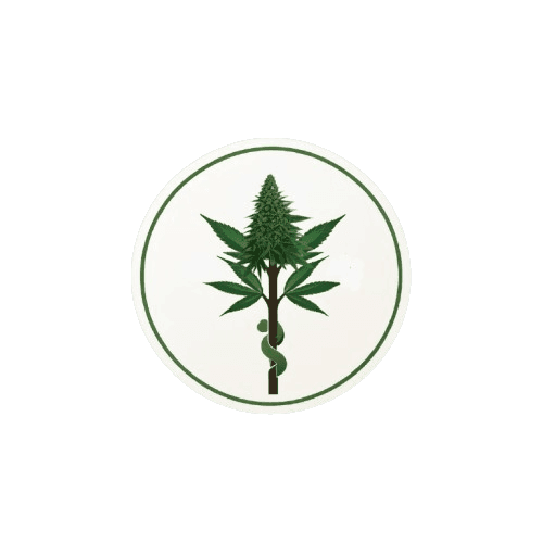 Qué Es El THC: Descubre Sus Efectos Y Beneficios